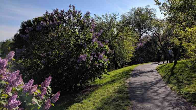 Highland Park in Rochester - Day Trips Around Rochester, NY