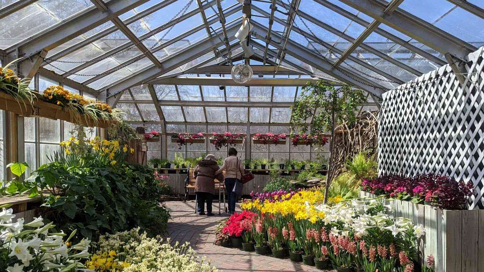 Lamberton Conservatory - Day Trips Around Rochester, NY