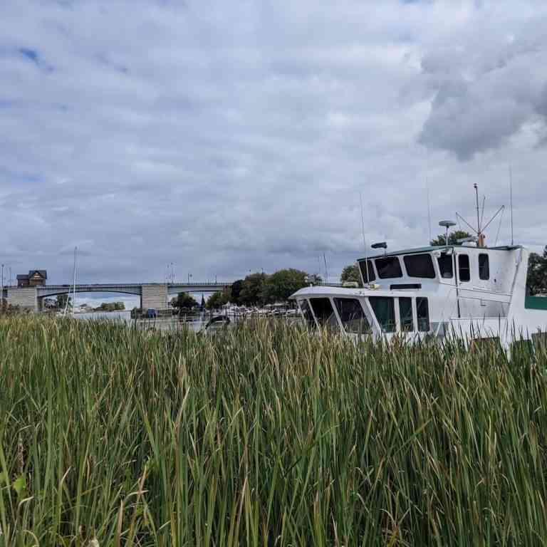 Turning Point Park - Day Trips Around Rochester, NY