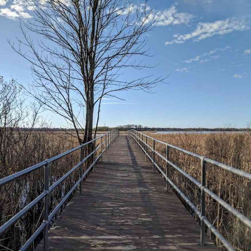 Braddock Bay Wildlife Management Area - Day Trips Around Rochester, NY