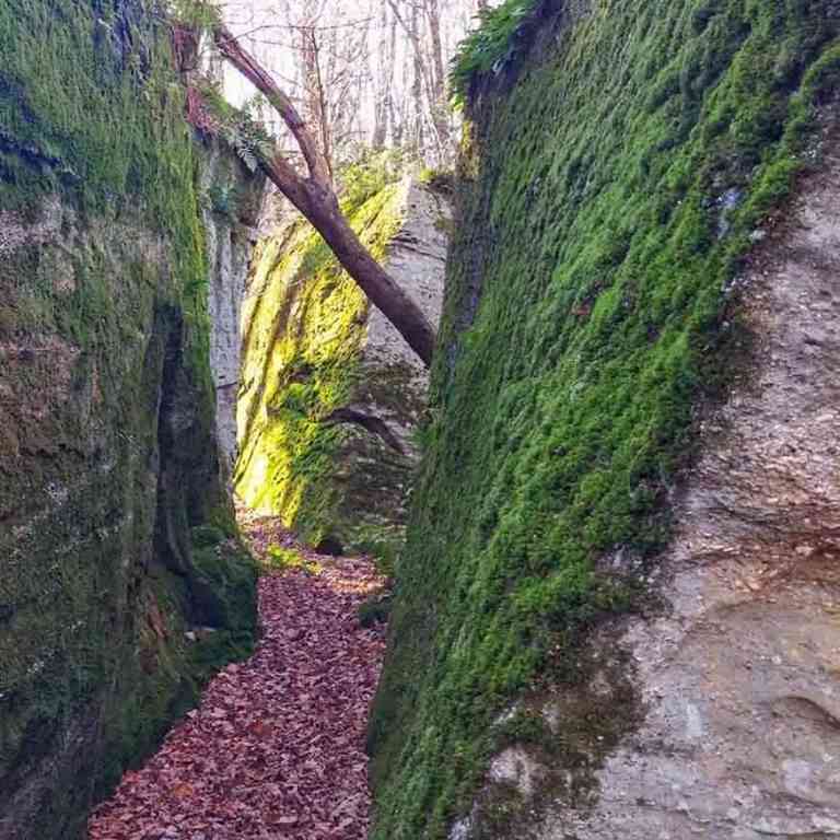 Little Rock City in Rock City State Forest - Day Trips Around Rochester, NY