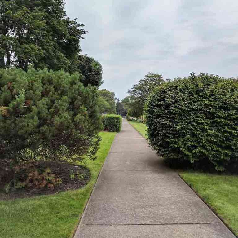 Rochester's Hidden Sidewalk - Day Trips Around Rochester, NY