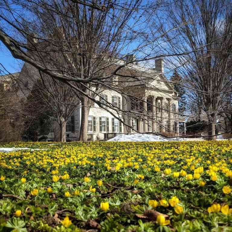 5 Beautiful Gardens Near Rochester - Day Trips Around Rochester, NY