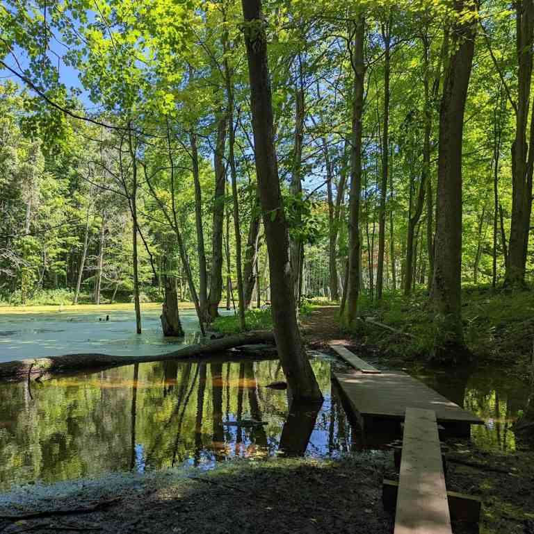 Child-Sized Fun: 10 Ideas for Enjoying Spring Break in Rochester - Day ...