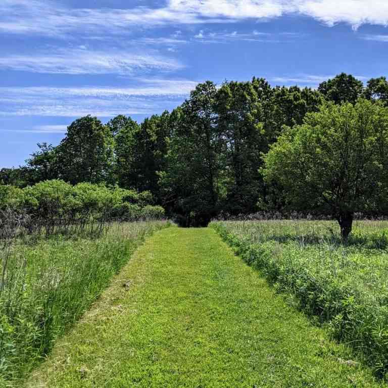 22 Monroe County Parks - Day Trips Around Rochester, NY