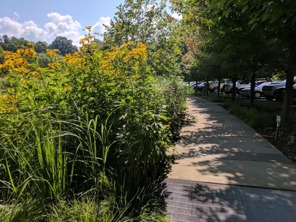 Cornell Botanic Gardens - Day Trips Around Rochester, NY