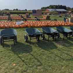 Pumpkin Patches Near Rochester - 2025 Edition - Day Trips Around ...