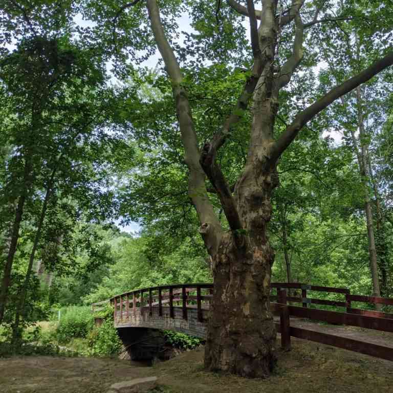 22 Monroe County Parks - Day Trips Around Rochester, NY