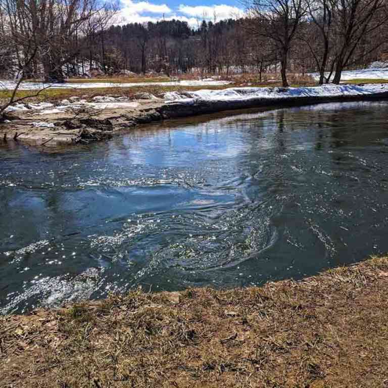 Ellison Park - Day Trips Around Rochester, NY