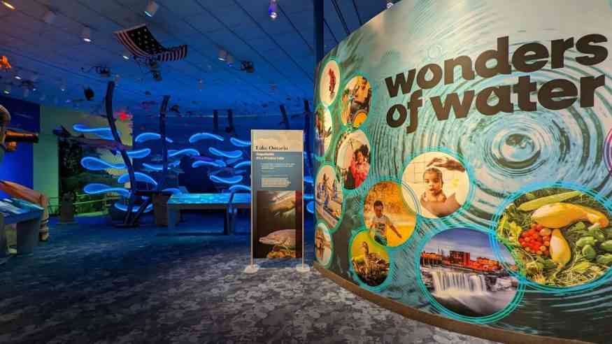 Strong National Museum of Play - Day Trips Around Rochester, NY