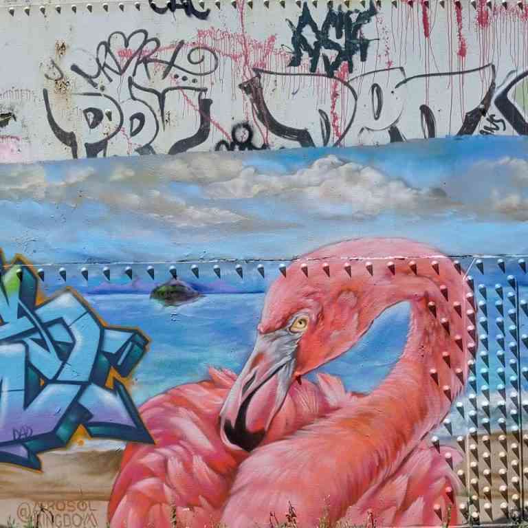 Street Art: Exploring Rochester's Murals & Graffiti - Day Trips Around ...