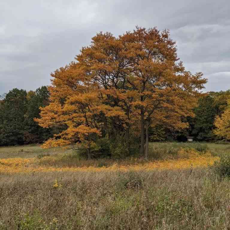 80 Hiking Trails Around Rochester Day Trips Around Rochester Ny 2754