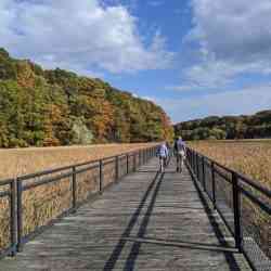 Turning Point Park - Day Trips Around Rochester, NY