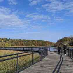 Turning Point Park - Day Trips Around Rochester, NY