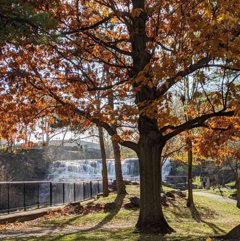 Easy Waterfalls - Day Trips Around Rochester, NY