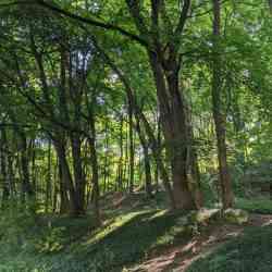 A Range of Possibilities: Exploring Rochester's Pinnacle Hills - Day ...