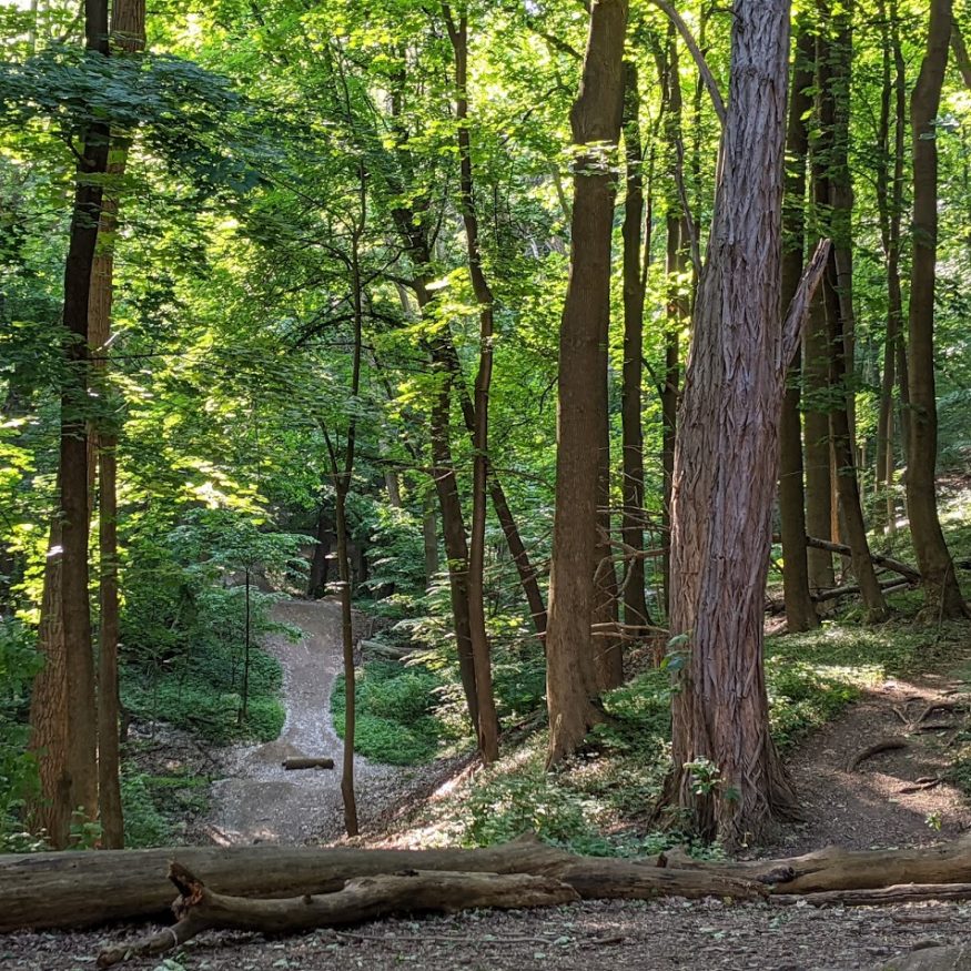 A Range of Possibilities: Exploring Rochester's Pinnacle Hills - Day ...