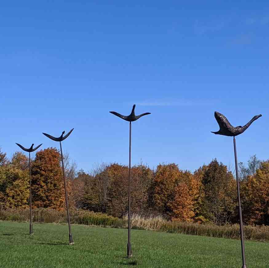 Griffis Sculpture Park - Day Trips Around Rochester, NY