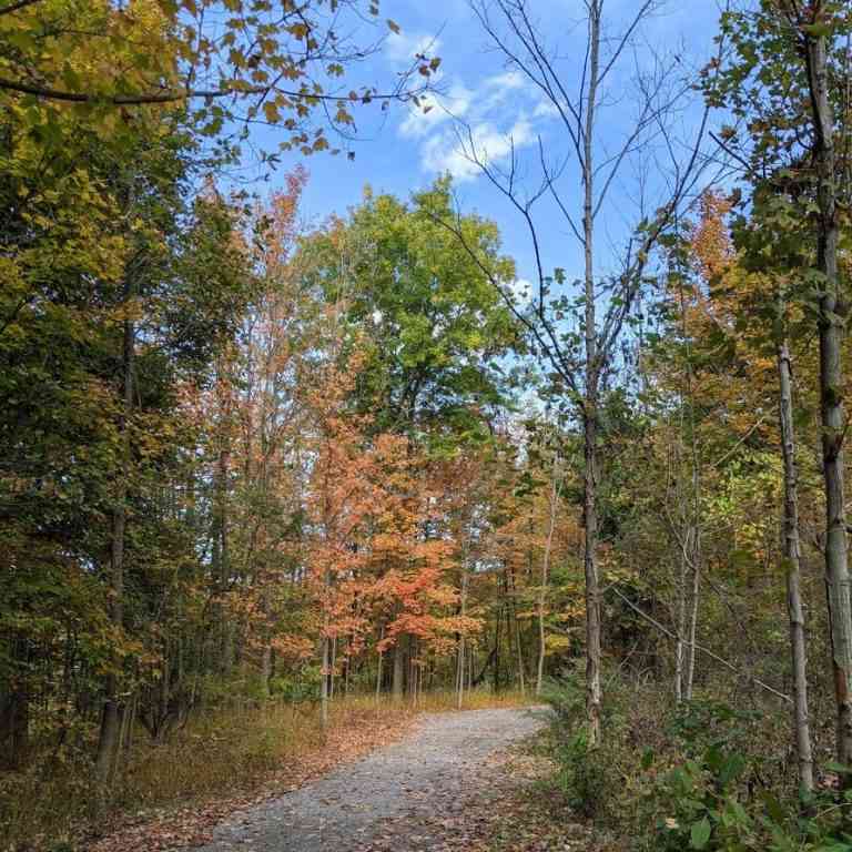 Holley Canal Falls - Day Trips Around Rochester, NY