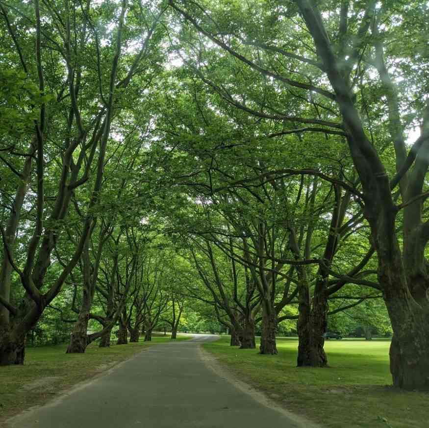 Verdant Escapes: 36 Places to Surround Yourself with Soothing Green ...