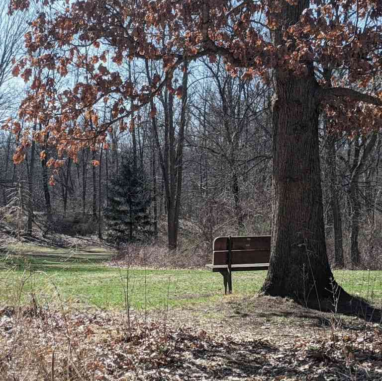 Corbett's Glen - Day Trips Around Rochester, NY