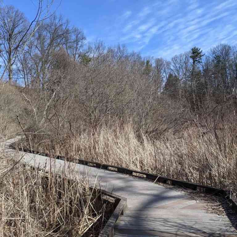 Corbett's Glen - Day Trips Around Rochester, NY