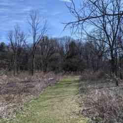 Corbett's Glen - Day Trips Around Rochester, NY