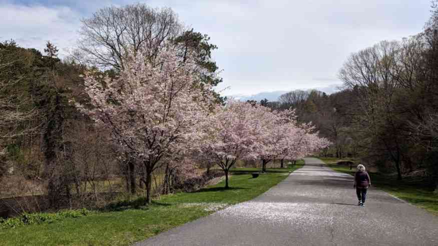 22 Monroe County Parks - Day Trips Around Rochester, NY