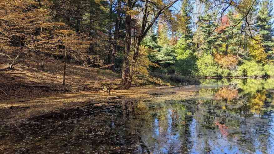 22 Monroe County Parks - Day Trips Around Rochester, NY