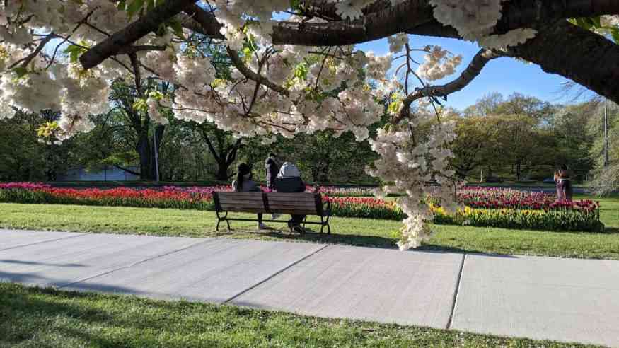 The Flower City: Exploring Rochester's Extraordinary Flowers and Trees ...