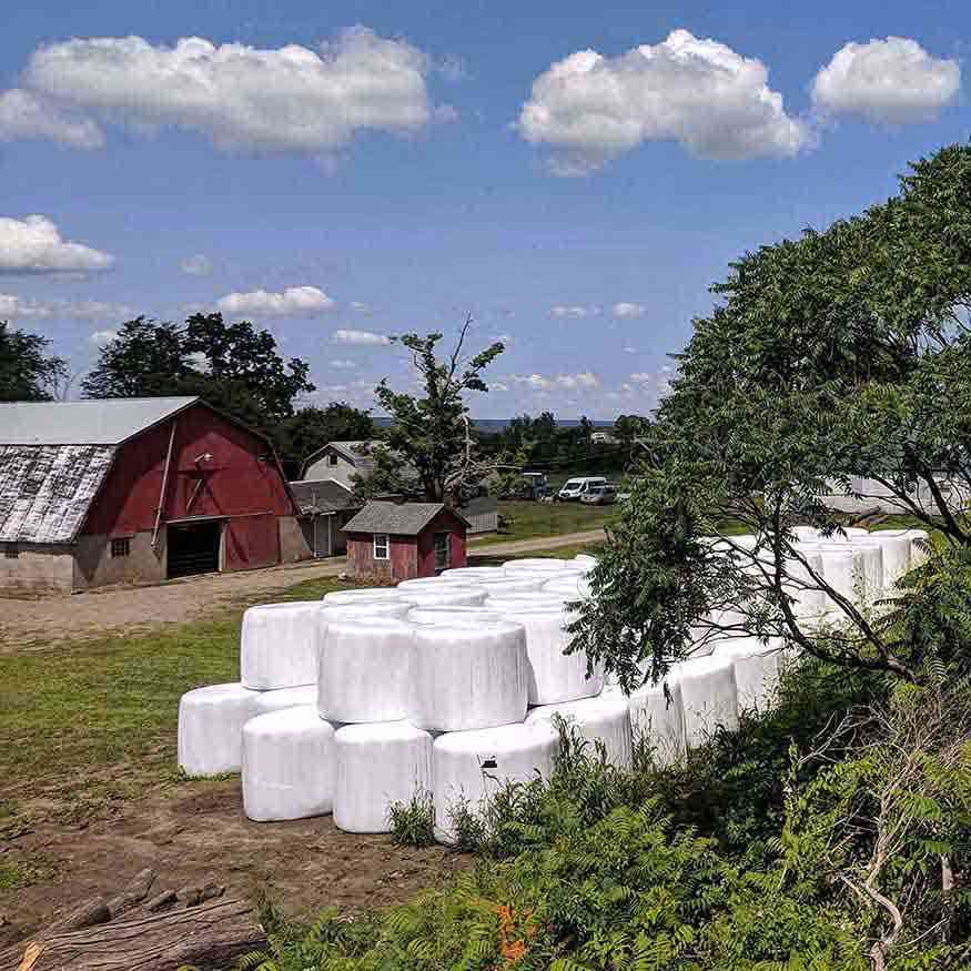 Organic Marshmallow Farms - Day Trips Around Rochester, NY