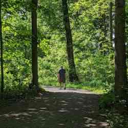 Breese Park - Day Trips Around Rochester, NY