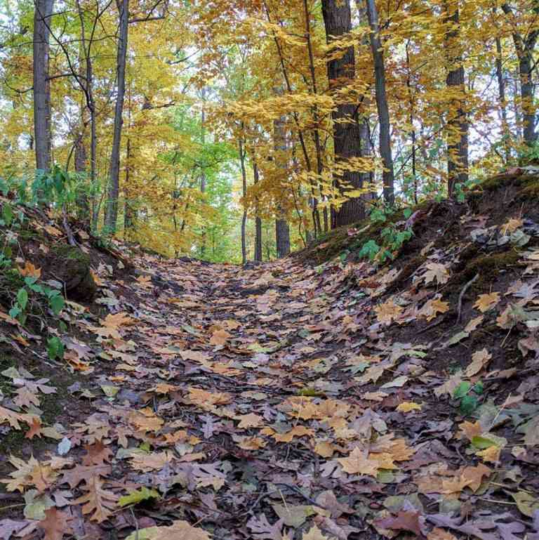 22 Fabulous Fall Hikes in Monroe County - Day Trips Around Rochester, NY