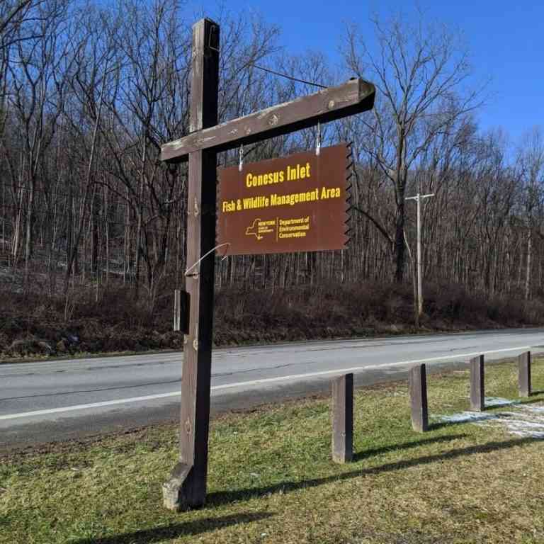 Explore the Finger Lakes Region - Day Trips Around Rochester, NY