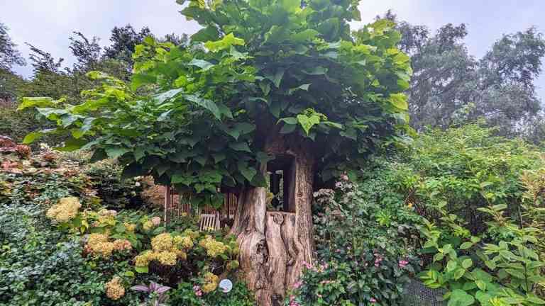 Cornell Botanic Gardens - Day Trips Around Rochester, NY