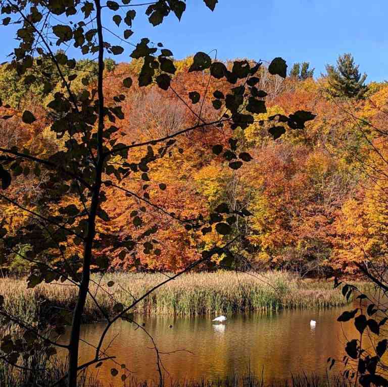 39 Other Great Lakes Near Rochester - Day Trips Around Rochester, NY