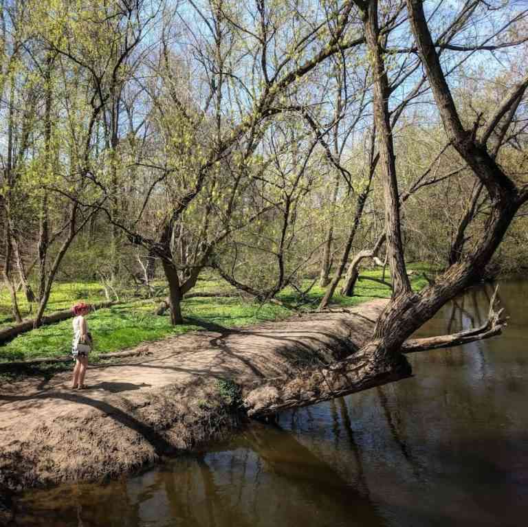22 Monroe County Parks - Day Trips Around Rochester, NY