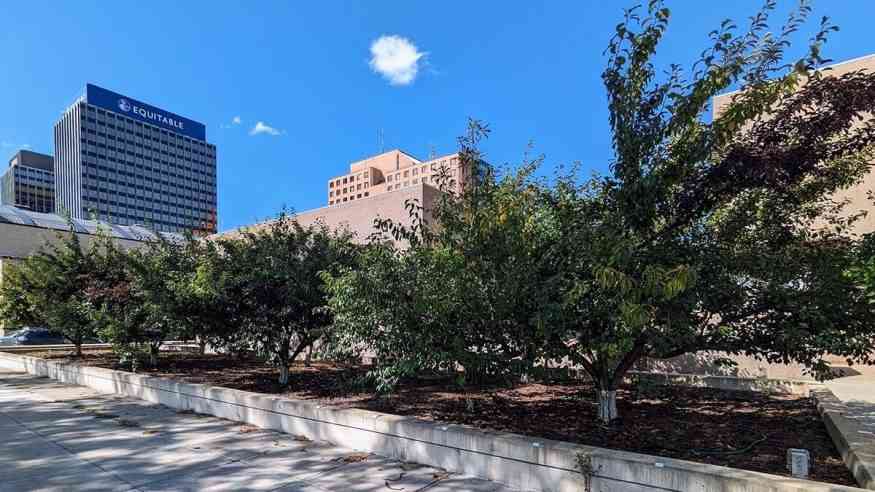Explore Syracuse - Day Trips Around Rochester, NY