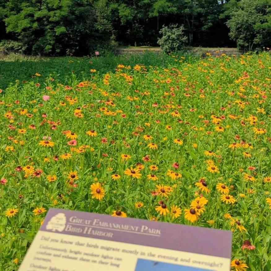 Great Embankment Park - Day Trips Around Rochester, NY