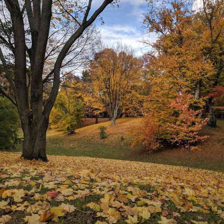 22 Fabulous Fall Hikes in Monroe County - Day Trips Around Rochester, NY