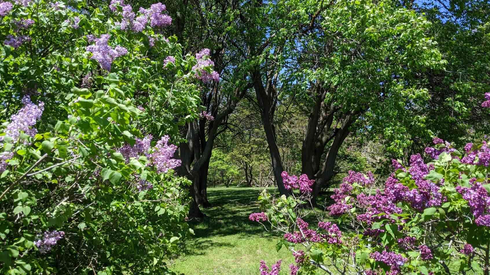 20 Must-See Places in Rochester, New York - Day Trips Around Rochester, NY