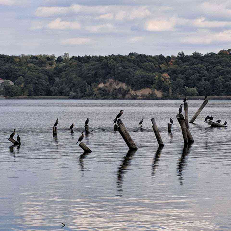 22 Monroe County Parks - Day Trips Around Rochester, NY
