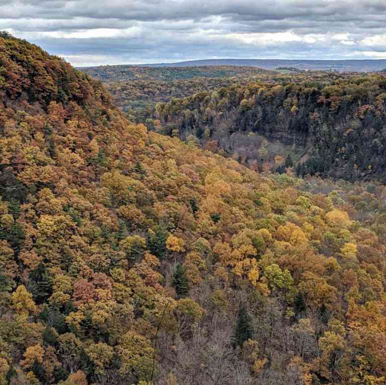 Fall Foliage: 7 Stunning Views Around Rochester - Day Trips Around ...