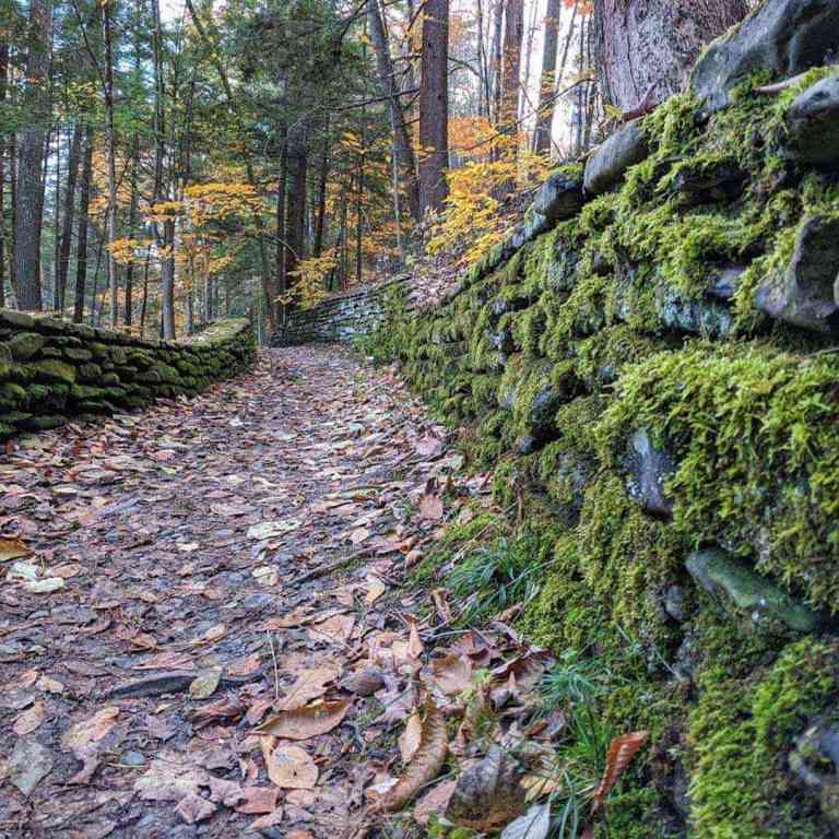 Fall Foliage: 7 Stunning Views Around Rochester - Day Trips Around ...