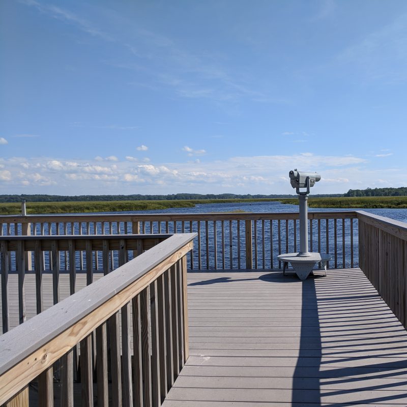 Montezuma National Wildlife Refuge - Day Trips Around Rochester, NY