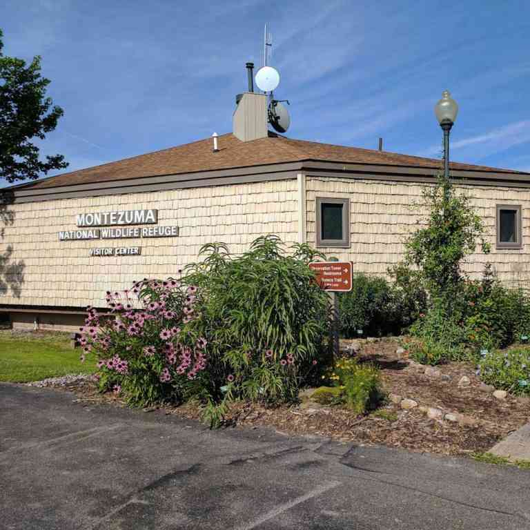 Montezuma National Wildlife Refuge - Day Trips Around Rochester, NY