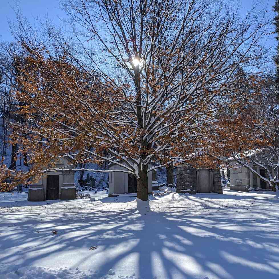 Mount Hope Cemetery - Day Trips Around Rochester, NY