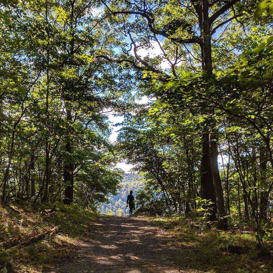 Fall Foliage: 7 Stunning Views Around Rochester - Day Trips Around ...