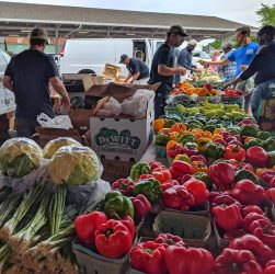 Rochester Public Market - Day Trips Around Rochester, NY