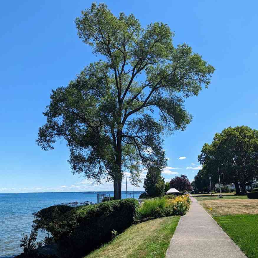 Rochester's Hidden Sidewalk - Day Trips Around Rochester, NY